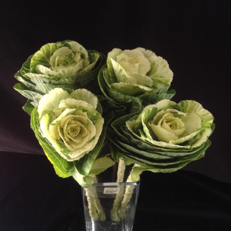 Nene Flowershop - Seasonal Archives